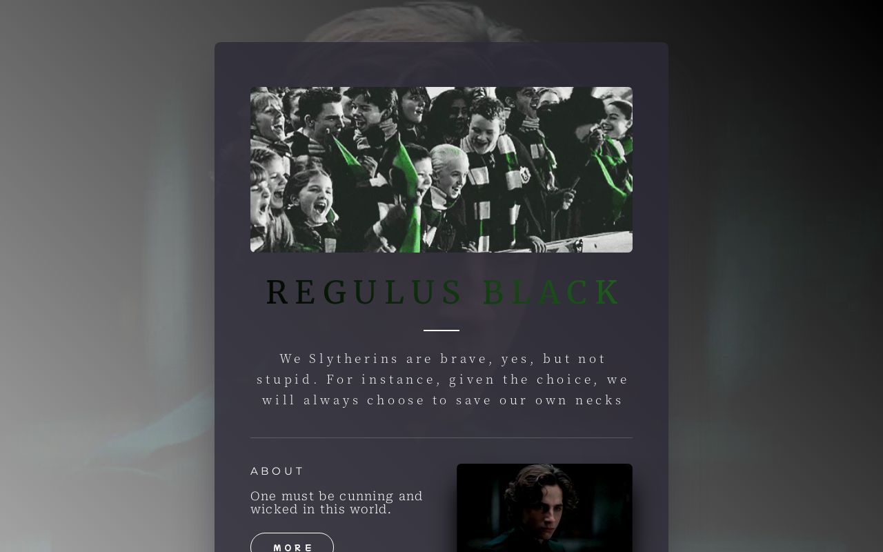 REGULUS BLACK